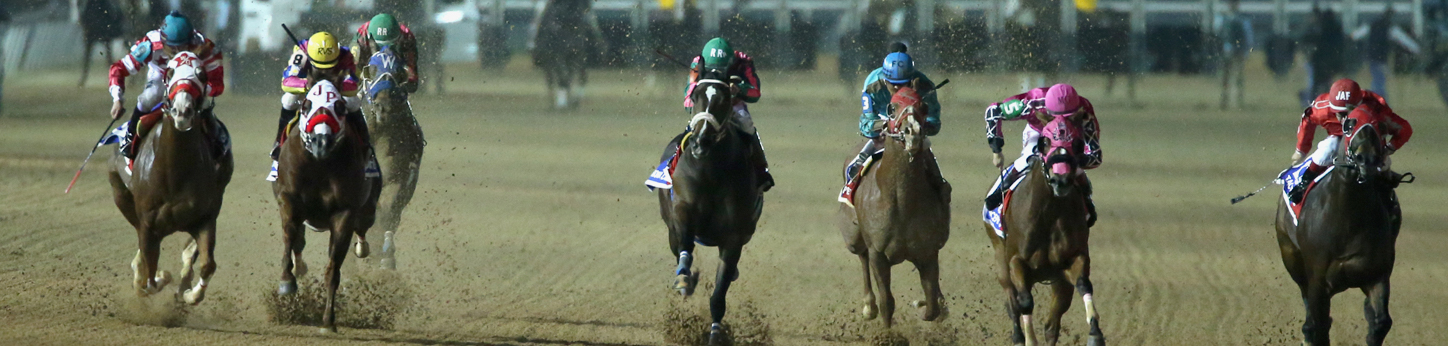 Lone Star Park at Grand Prairie - Lone Star Park at Grand Prairie