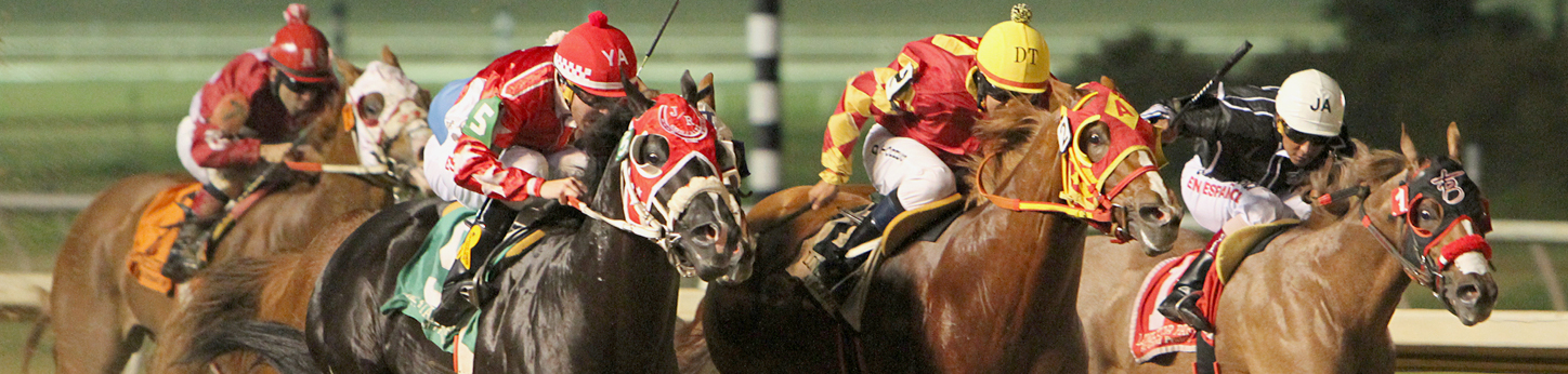 Lone Star Park at Grand Prairie - Lone Star Park at Grand Prairie