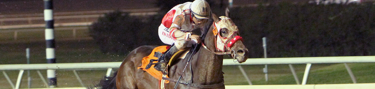 Lone Star Park at Grand Prairie - Lone Star Park at Grand Prairie