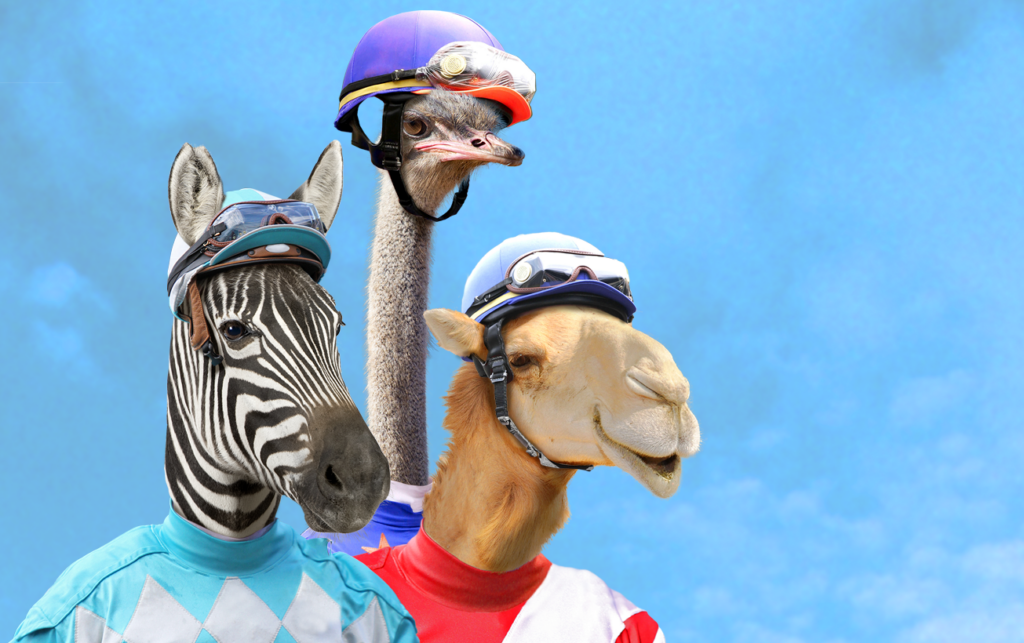 Thoroughbred Racing Season: Extreme Racing Day – Lone Star Park at ...